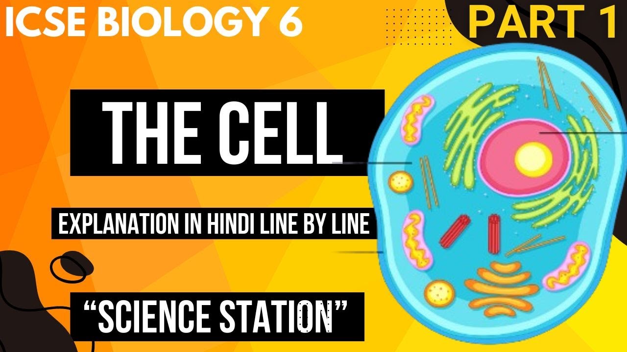 THE CELL CHAPTER 3 ICSE CLASS 6 BIOLOGY | FULL TUTORIAL - YouTube