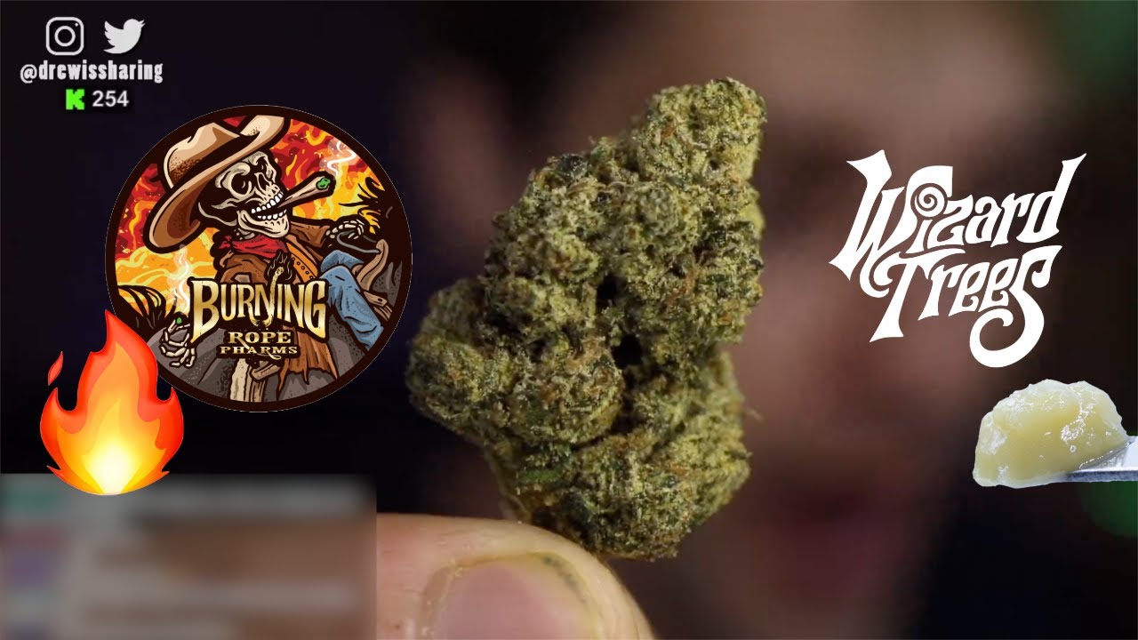 NEW Wizard Trees & Burning Rope Farms! 🔥 (FULL LIVESTREAM VOD) - YouTube