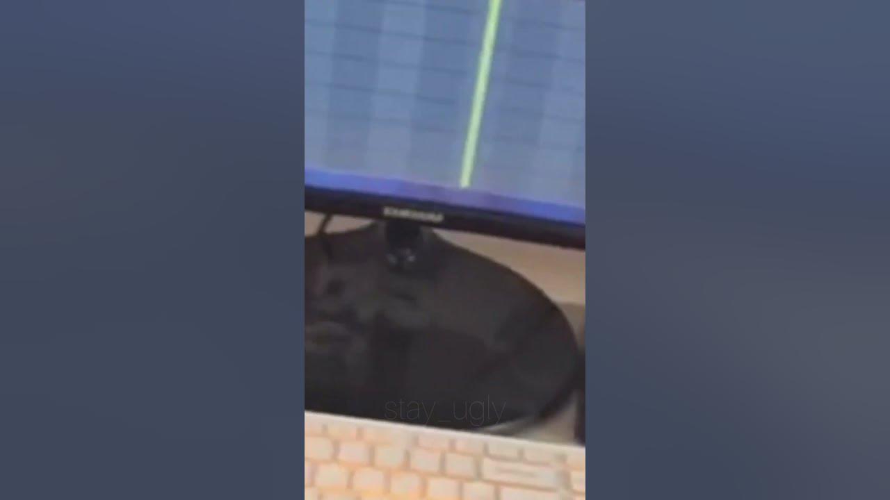 CODE80 & OG Buda - Money Counter (snippet 10.06.24) - YouTube