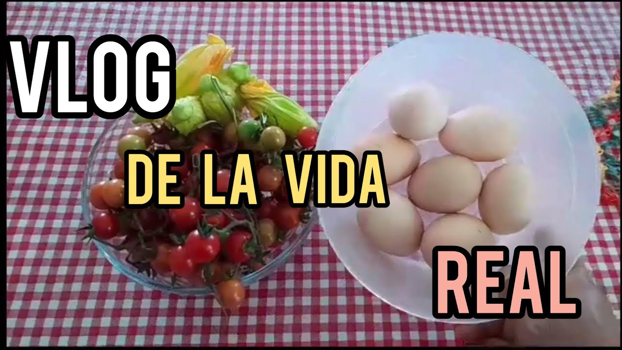 VLOG DEL DIA/ VIDA REAL DE SRA - YouTube