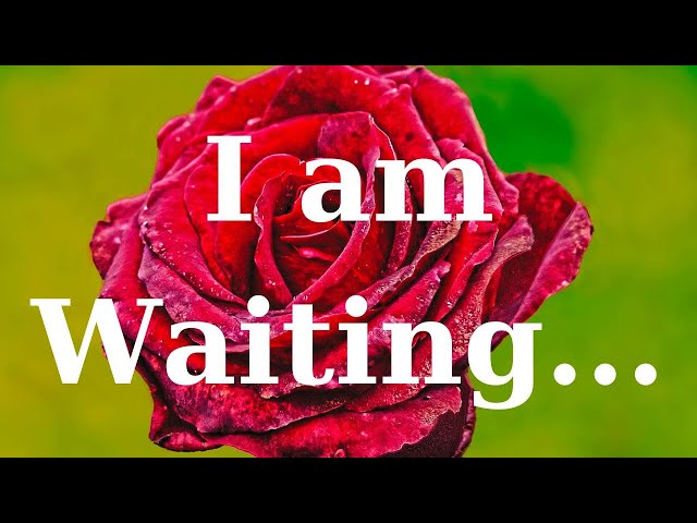 I Am Waiting For Your Love Poems