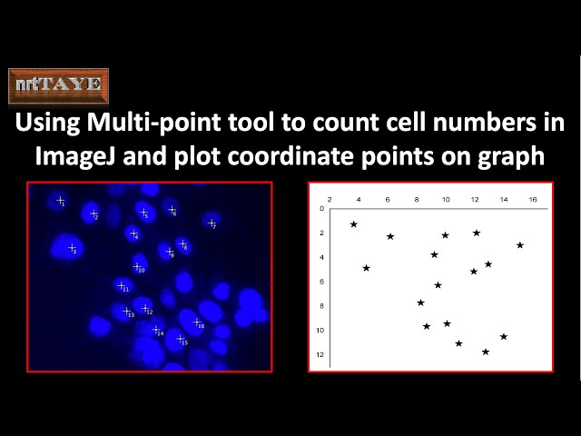 Imagej Tutorial Manual Cell Counting Using Multi Point A Systematic