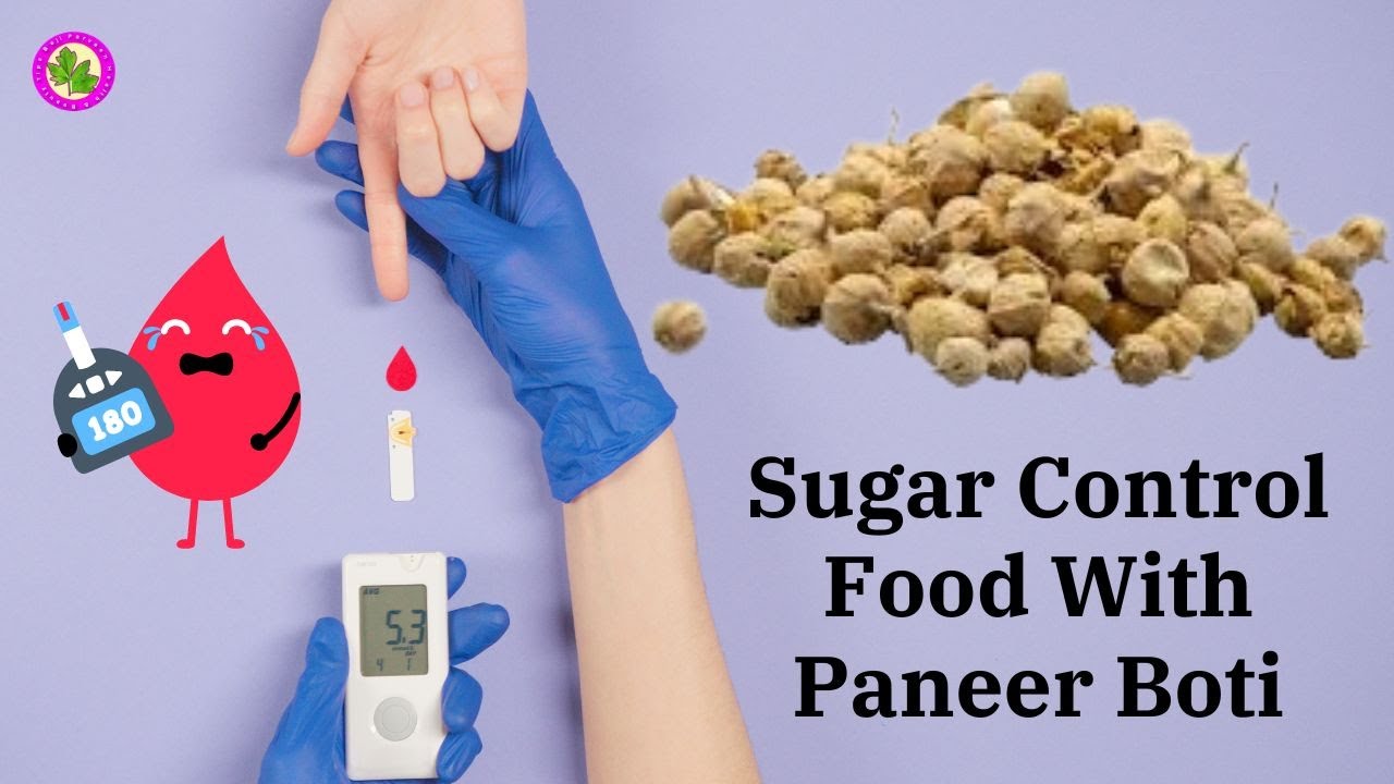 Sugar Control Food With Paneer Boti - YouTube