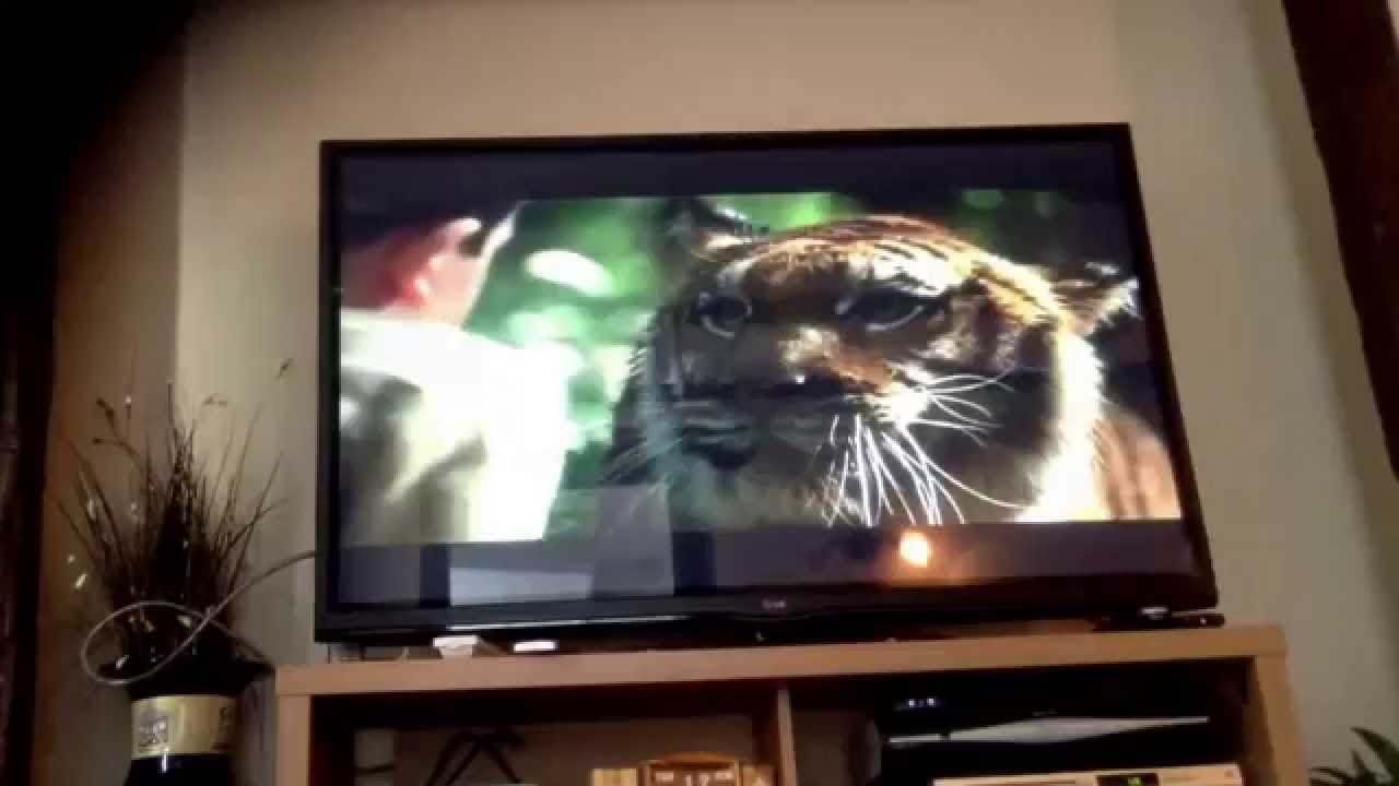 Double Feature DVD Opening #6 - YouTube