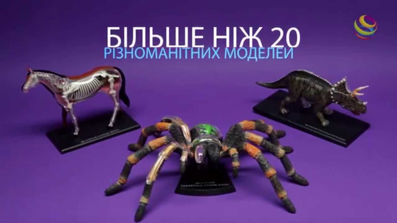 4D Master VISION ANIMAL ANATOMY - YouTube