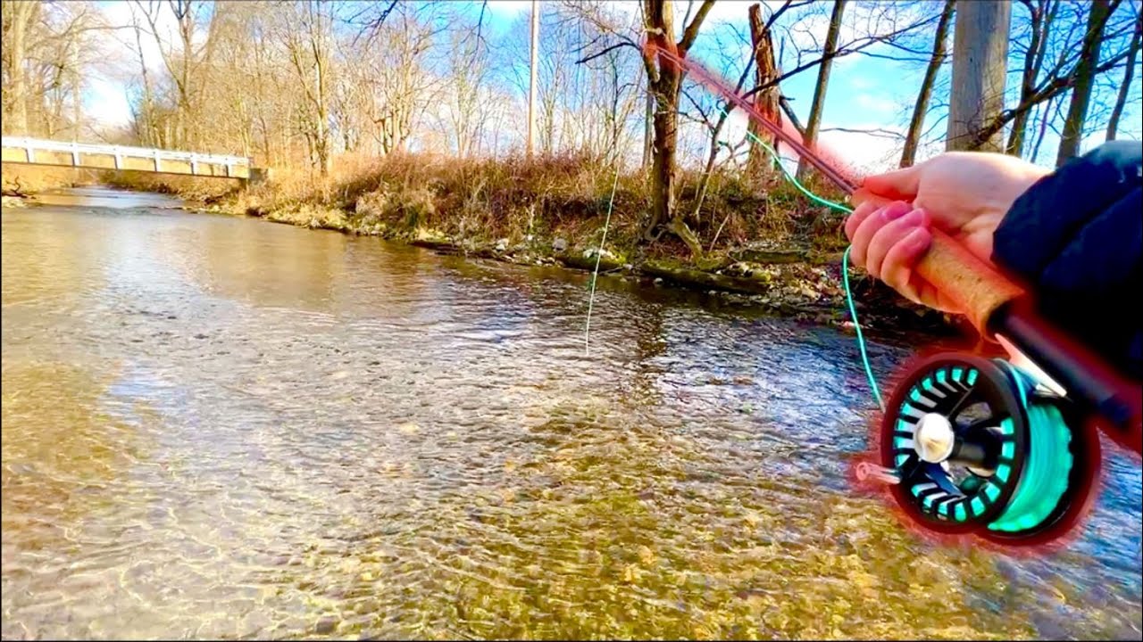 Fly Fishing in OHIO for Brown TROUT - YouTube