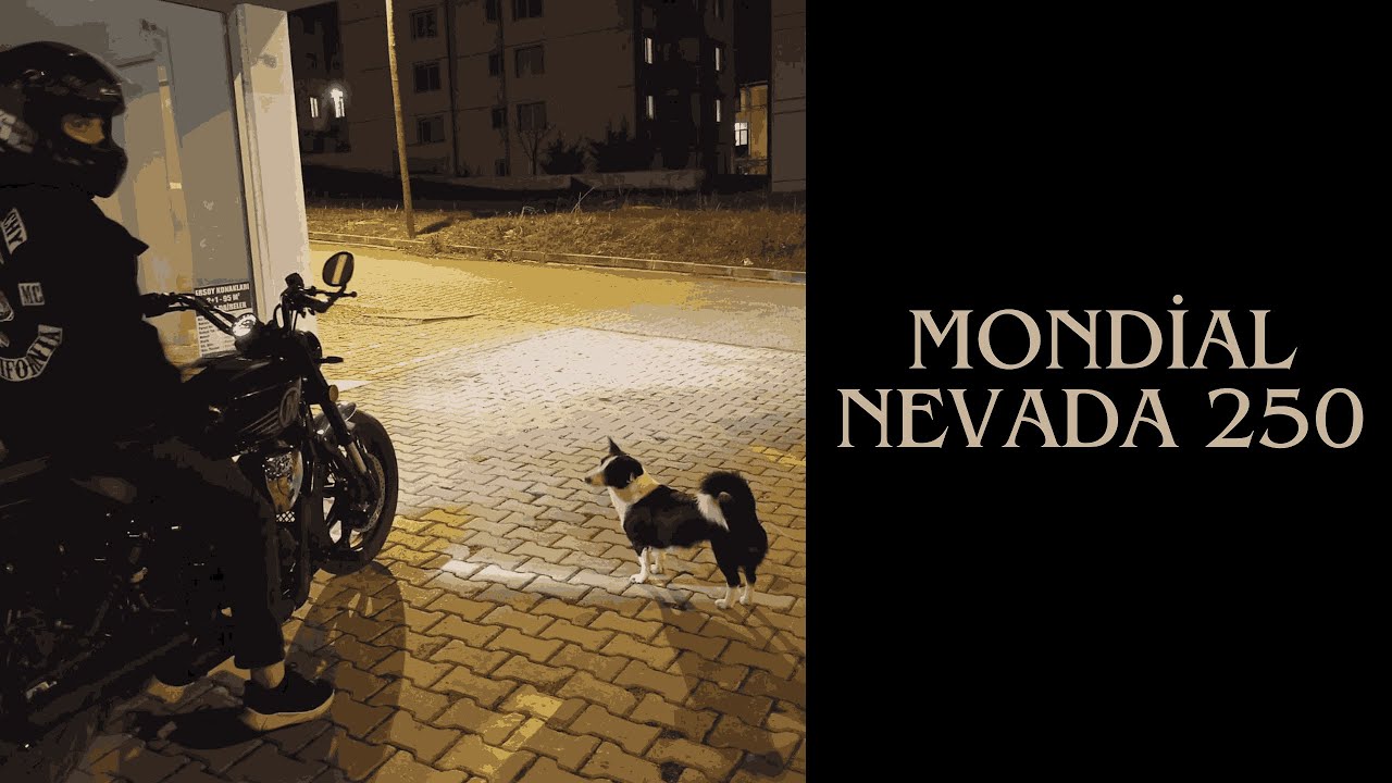 Mondial Nevada 250 Kullanıcı İncelemesi | Teknik Özellikler & Yedek ...