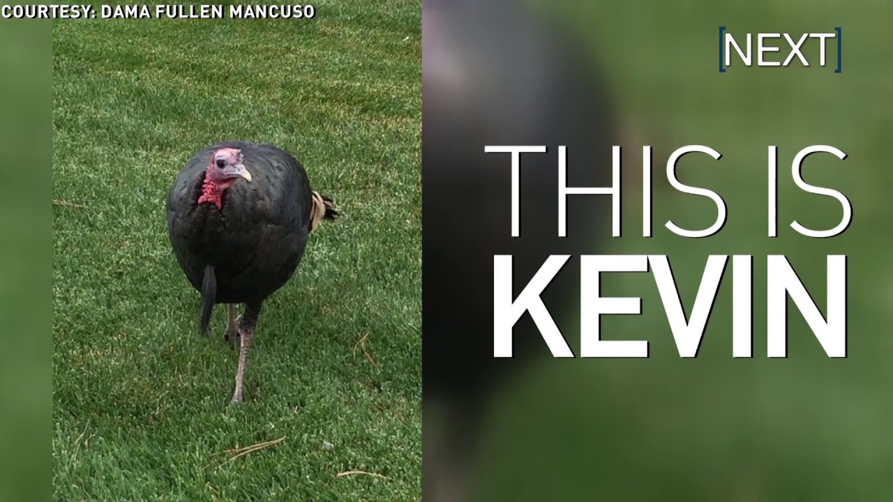 We'll never forget you, Kevin - YouTube