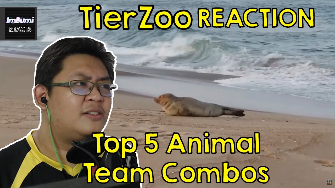 Top 5 Animal Team Combos | TierZoo | ImBumi Reaction - YouTube