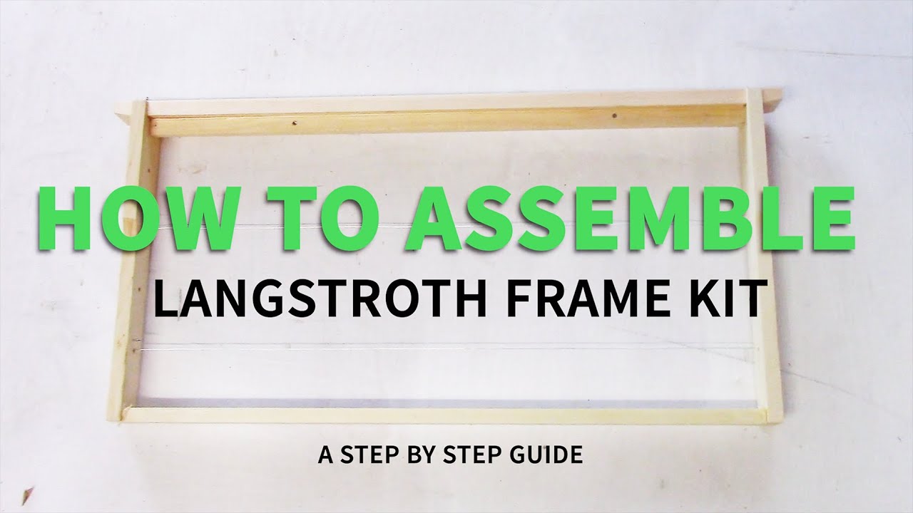 How Do I Assemble Langstroth Frames for Beehive Deep Boxes Step by Step ...
