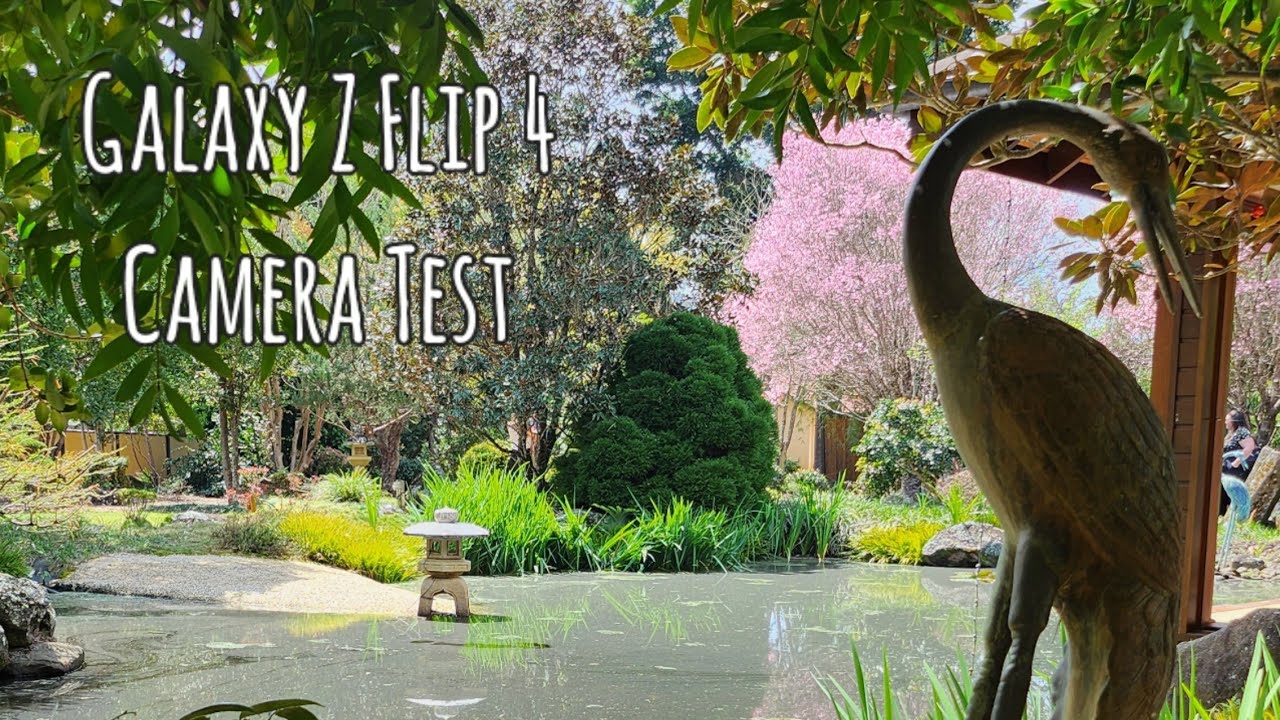 Samsung Galaxy Z Flip 4 Camera Test Footage | Beautiful Private ...