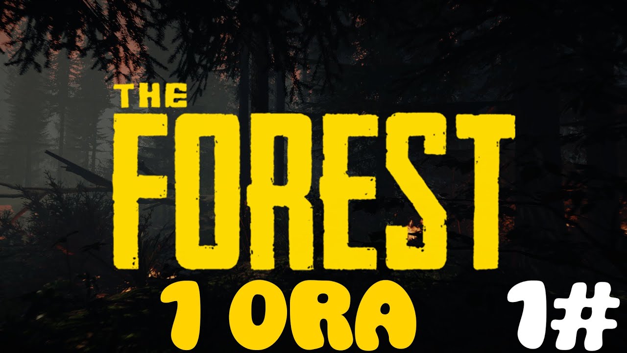 PRIMA ORA DIN THE FOREST! - YouTube