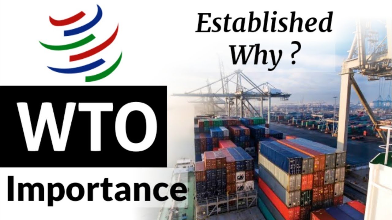 WTO : विश्व व्यापार संगठन(World Trade Organization) Work, Impact ...