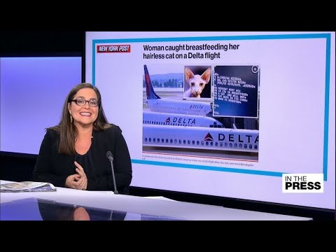 Merkel's farewell, Markle's win and Delta's breastfeeding cat • FRANCE 24 English