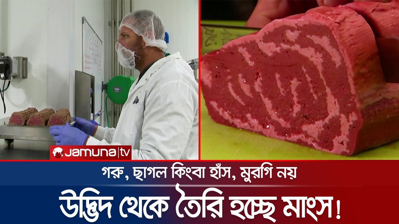 উদ্ভিদ থেকে তৈরি হচ্ছে মাংস! স্বাদ হুবহু একই রকম! | Israel | Lab Meat ...