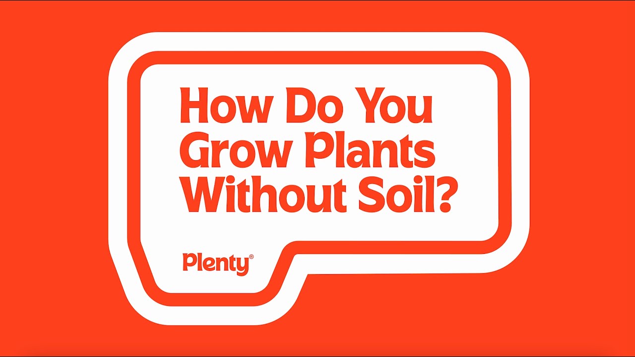 Plenty | How Do You Grow Plants Without Soil? - YouTube