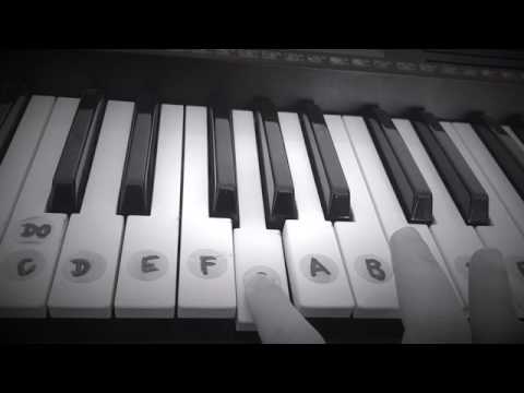Orhan ölmez -su misali | org dersi full
