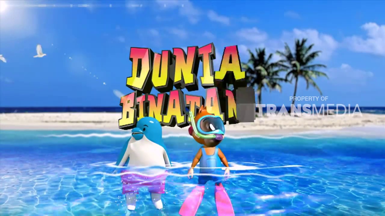 LEBIH DEKAT DENGAN SOBAT OTAN - DUNIA BINATANG (2/10/17) 3-2 - YouTube