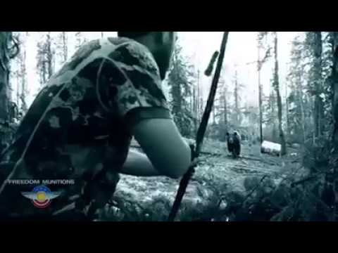 ALASKA AYI AVI