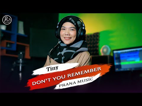 Adele - Don't You Remember | Cover by TINY