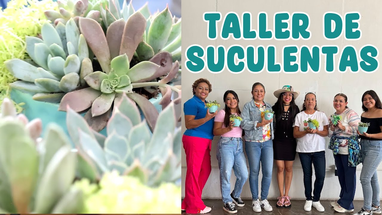 Plantando suculentas con mis suscriptores │Candy Bu - YouTube