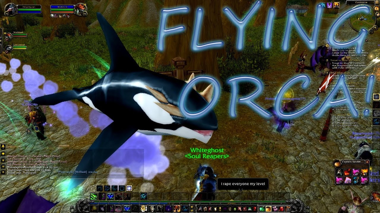 WoW: FLYING ORCA! (LOL Moment!) - YouTube