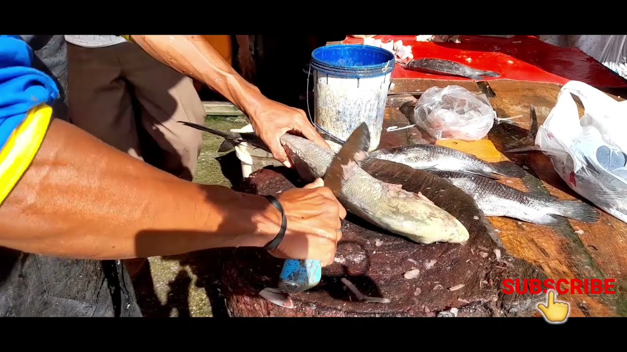Membersihkan ikan kuwe ikan bobara/how to clean kuwe fish, bobara fish ...