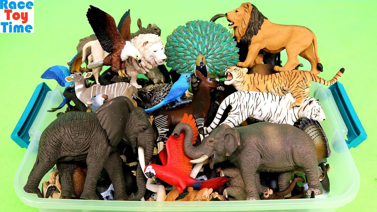 Lots of Toy Jungle and Forest Animal Figurines Collection - YouTube