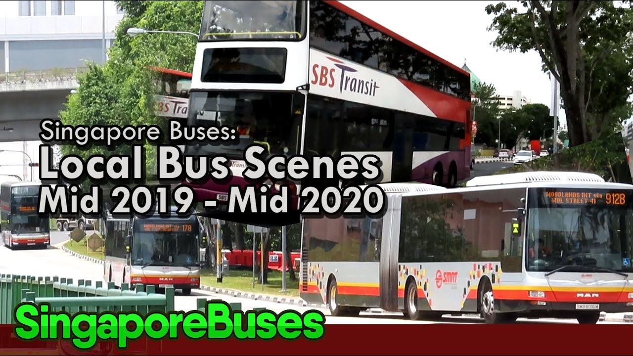 SGBUS: Singapore Local Bus Spotting Scene (Mid 2019 - Mid 2020) - YouTube