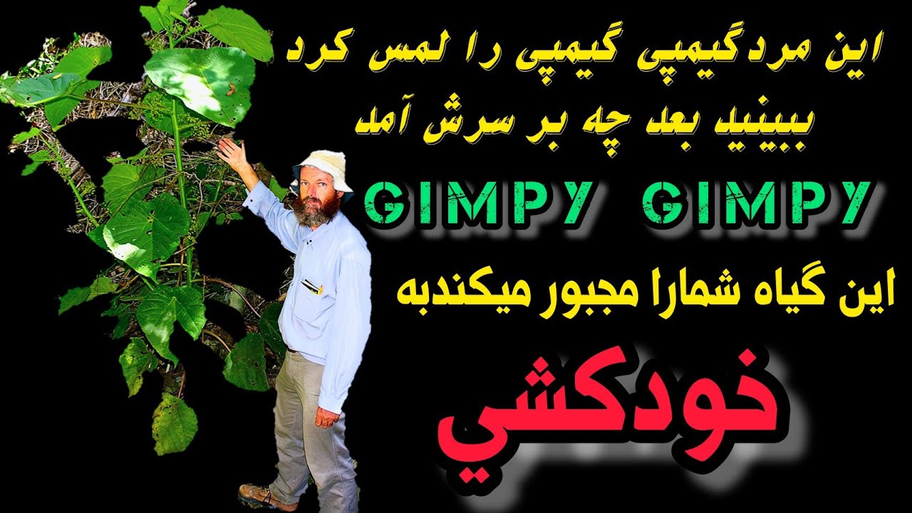خطرناک ترین گیاه جهان گیمپی گیمپی دانستنیهای ۹۸ Youtube
