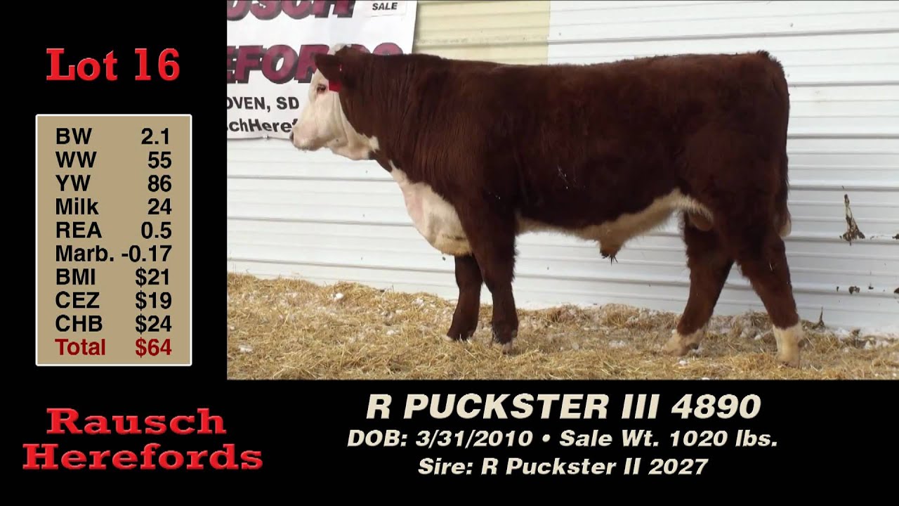 Lot 16: R Puckster III 4890 - YouTube