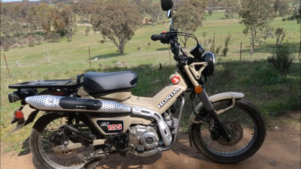 Honda Trail 125 - Tight Forest Trail Riding! - YouTube