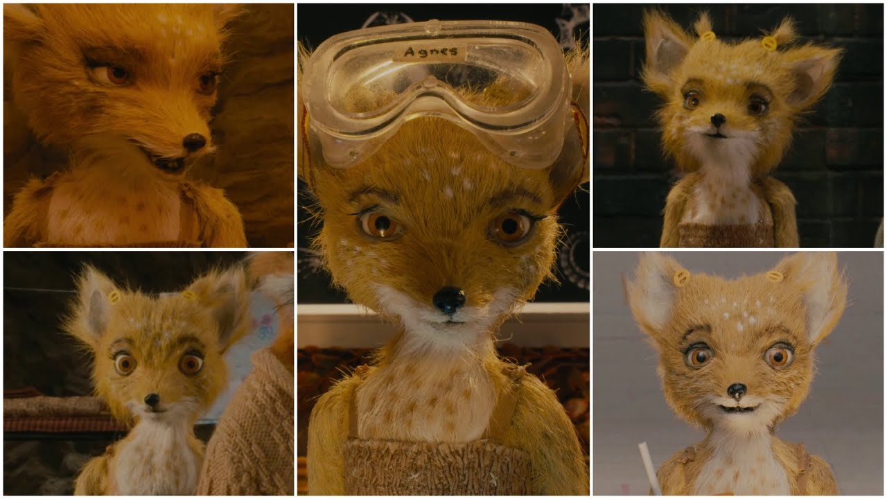 [Fantastic Mr. Fox] The Complete Animation of Agnes - YouTube