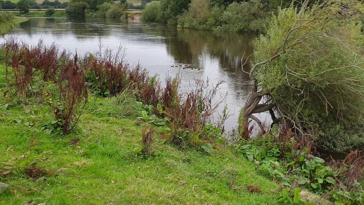 Start of the S Bends on the River Severn, Buildwas, Nr Ironbridge ...