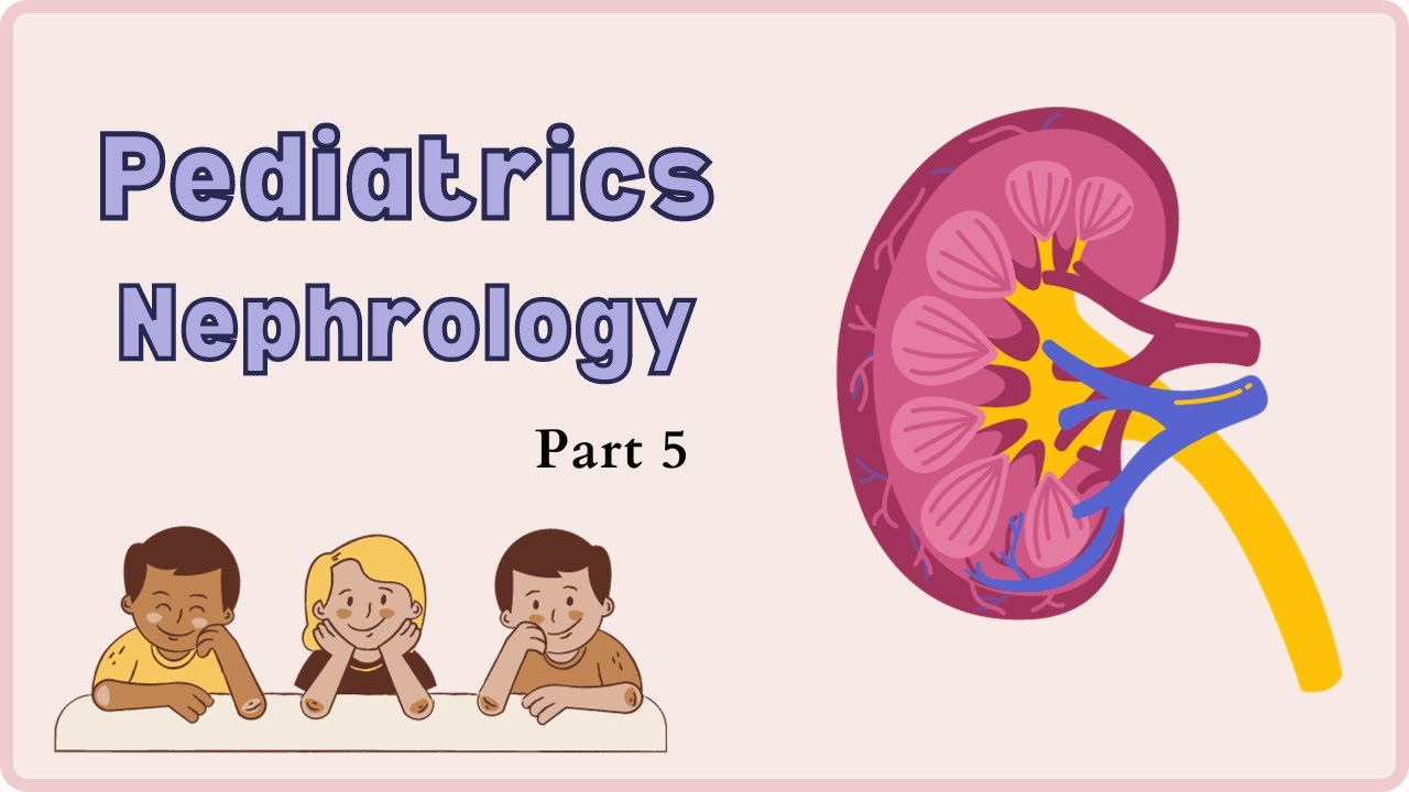 Nephrology part5 chronic kidney disease (CKD), Pediatrics, أطفال - YouTube
