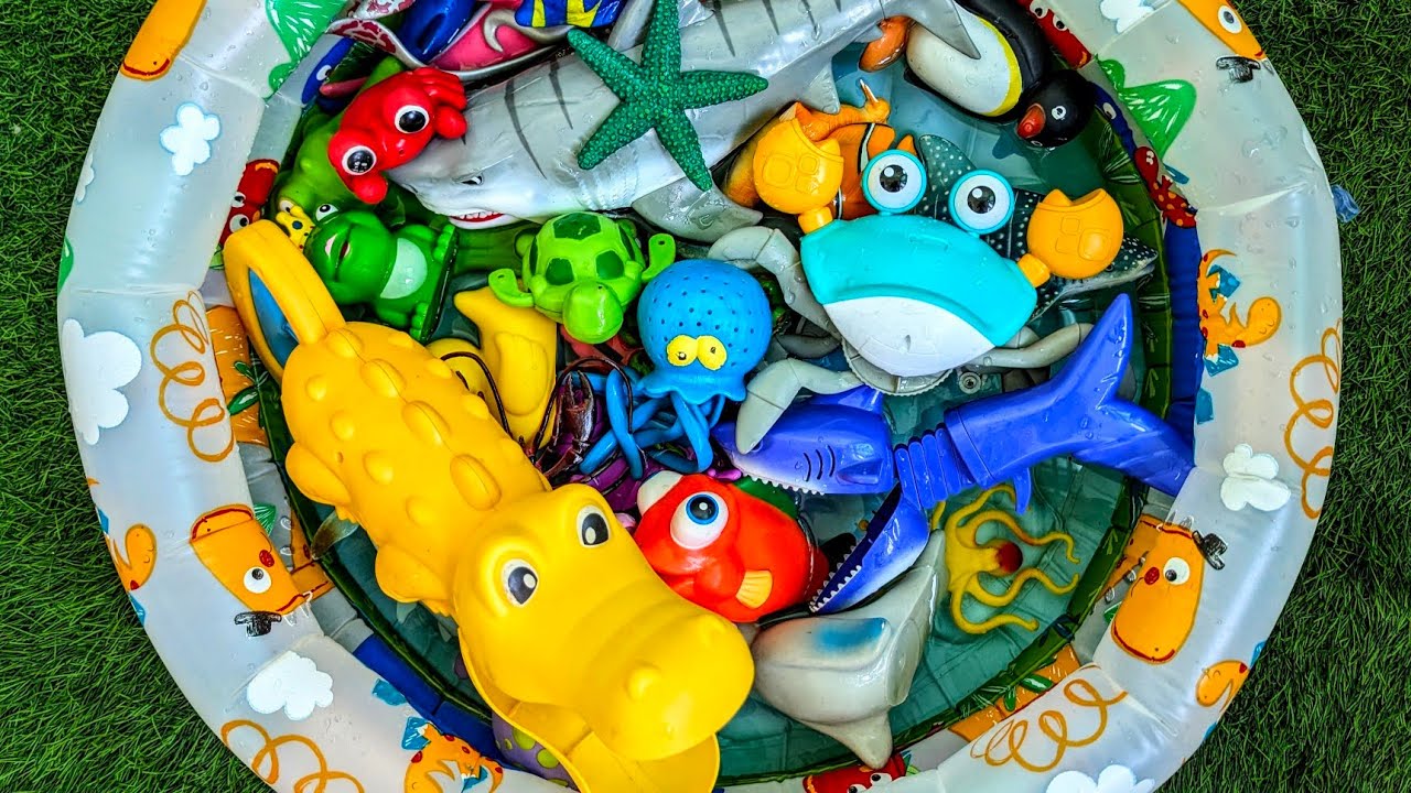 Ocean Animals Play & Learn | Amazing Sea Creatures Adventure for Kids ...