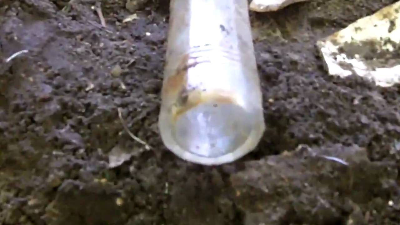 Metal Detecting - Trash Pit, Bottle Dig - YouTube
