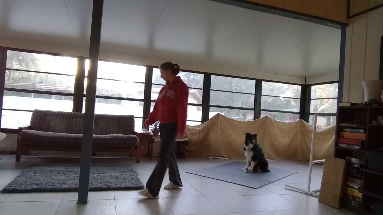Team 1 Practice Run-Through - YouTube