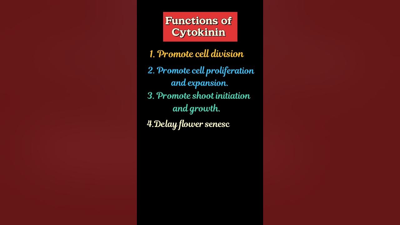 Functions of cytokinin plant hormone #science #biology #botany #plants #planthormones - YouTube