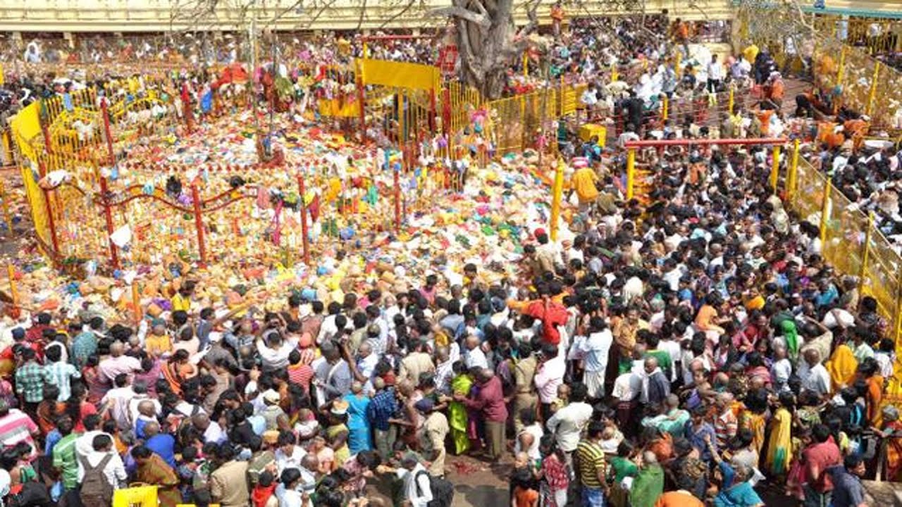 Medaram Sammakka Saralamma Jatara Starts on Feb 17th - YouTube