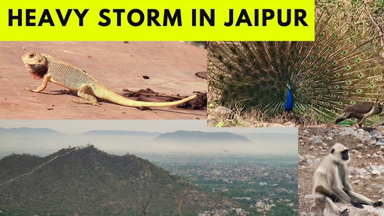 Toofan in Jaipur | Storm #dailyvlog #pinkcity #jaipur #summer #2023 # ...
