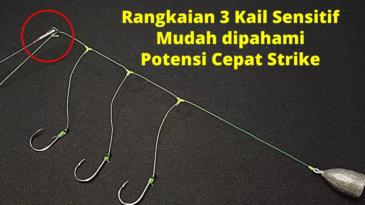 Rangkaian Pancing Dasaran 3 Kail Tanpa Kili Langsung Dari Senar Utama ...