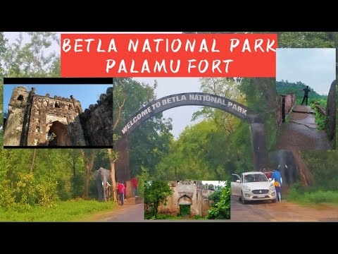 #Betla_National_Park And #Palamu_Fort - YouTube