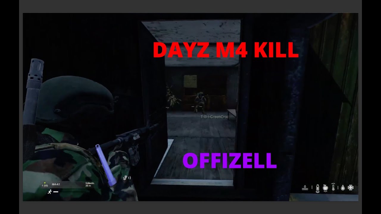 DAYZ M4 KILL OFFIZELL - YouTube