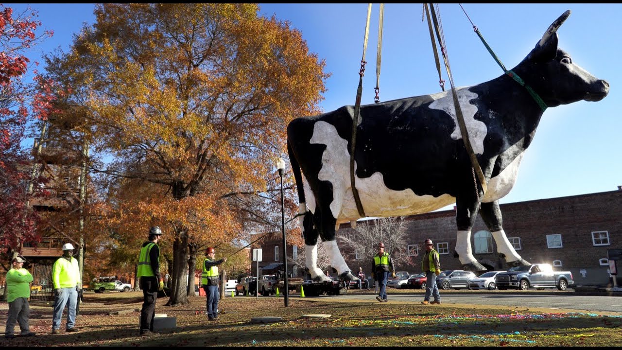 Watch as Kadie the Cow arrives at her new home in Columbus, GA - YouTube