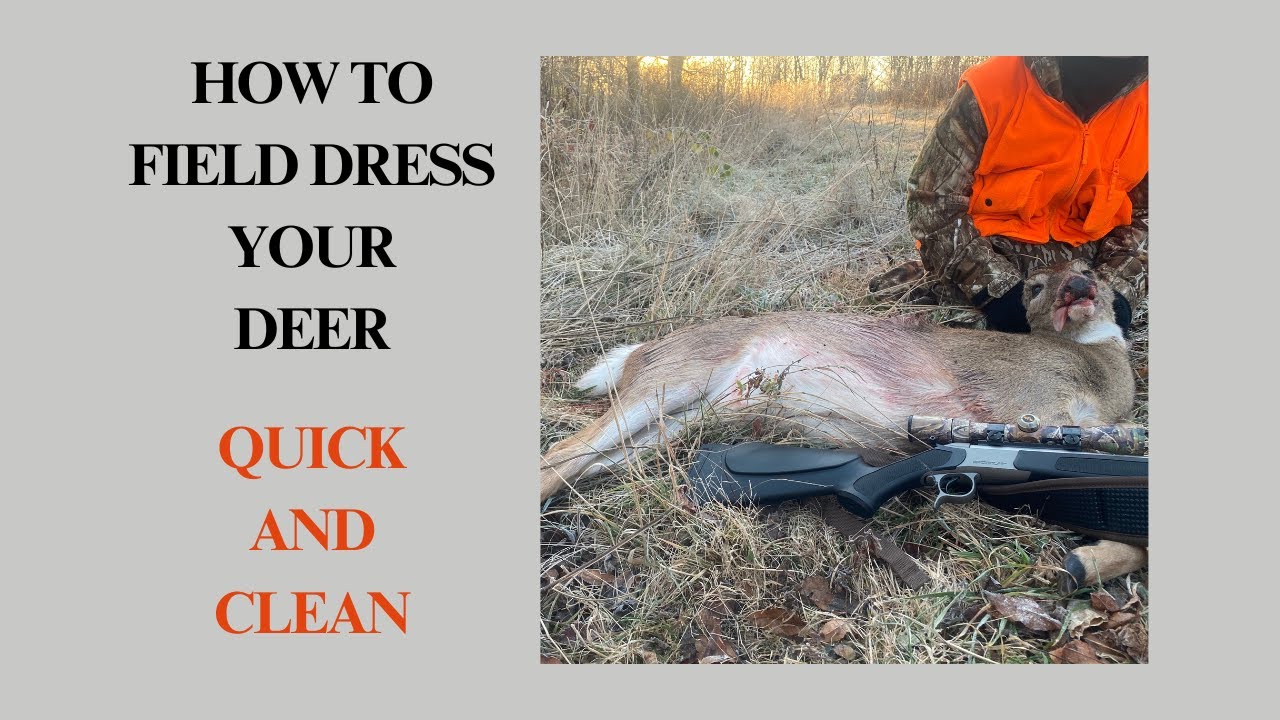 How to Field Dress a Deer (Gut) - YouTube
