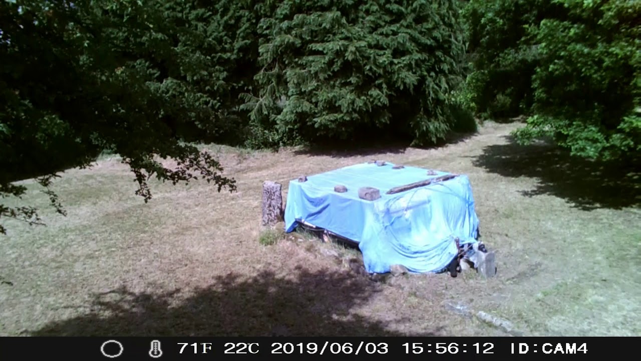 Apeman H45 Trail Wildlife Camera 4 of 6 Videos & Pictures Brittany ...