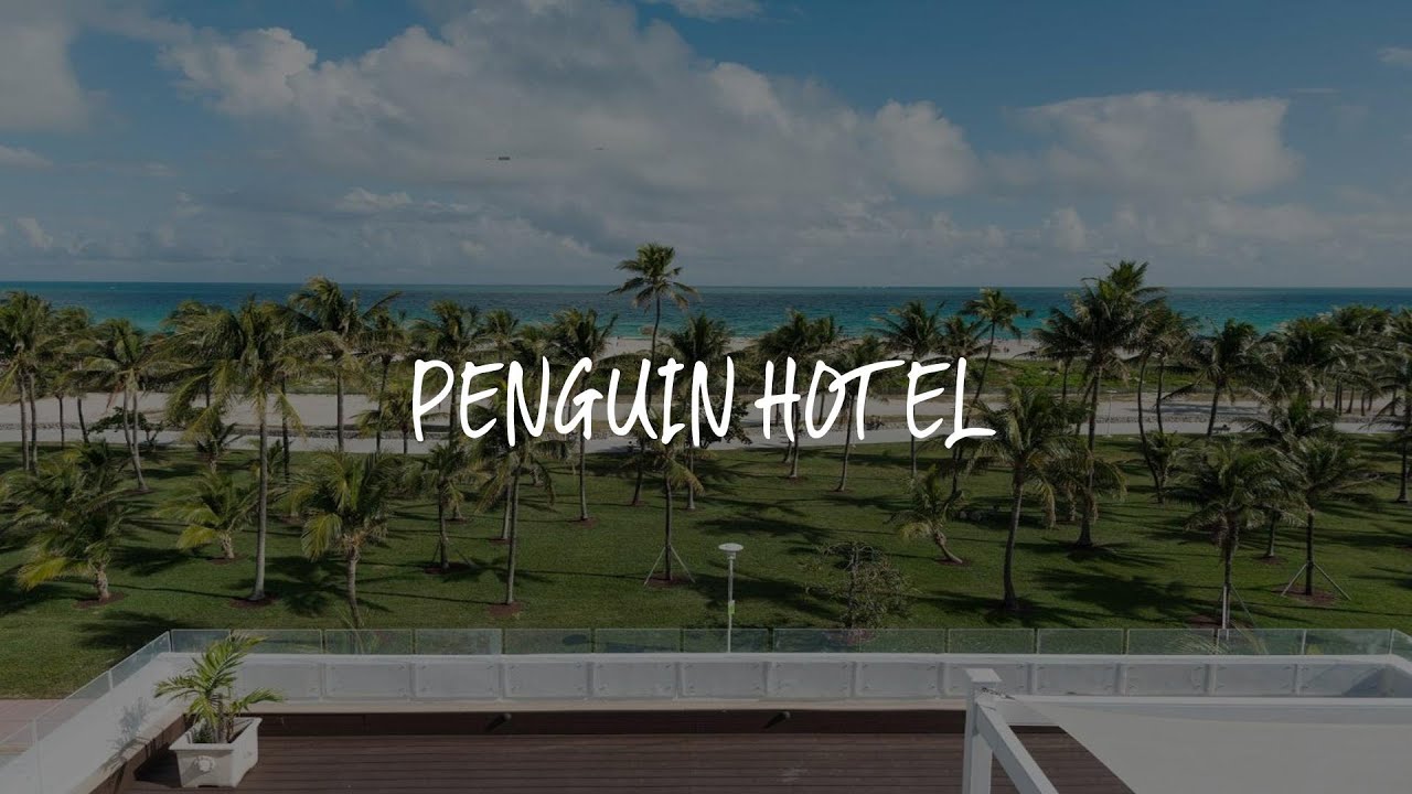 Penguin Hotel Review - Miami Beach , United States of America - YouTube