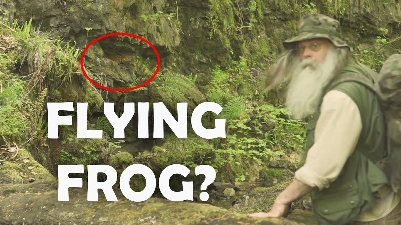 One of the weirder creatures from folklore - YouTube