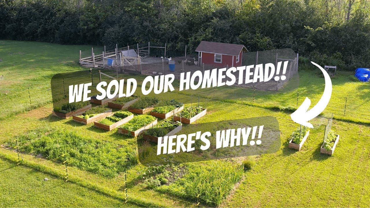 Why We SOLD Our HOMESTEAD! | Where Are We Going? - YouTube